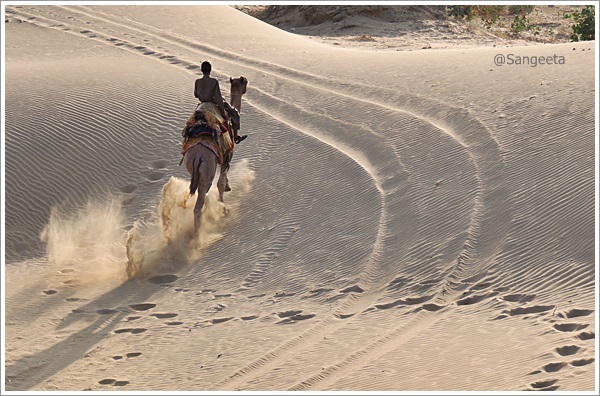 Glimpses from the SAM Sand Dunes, Jaisalmer